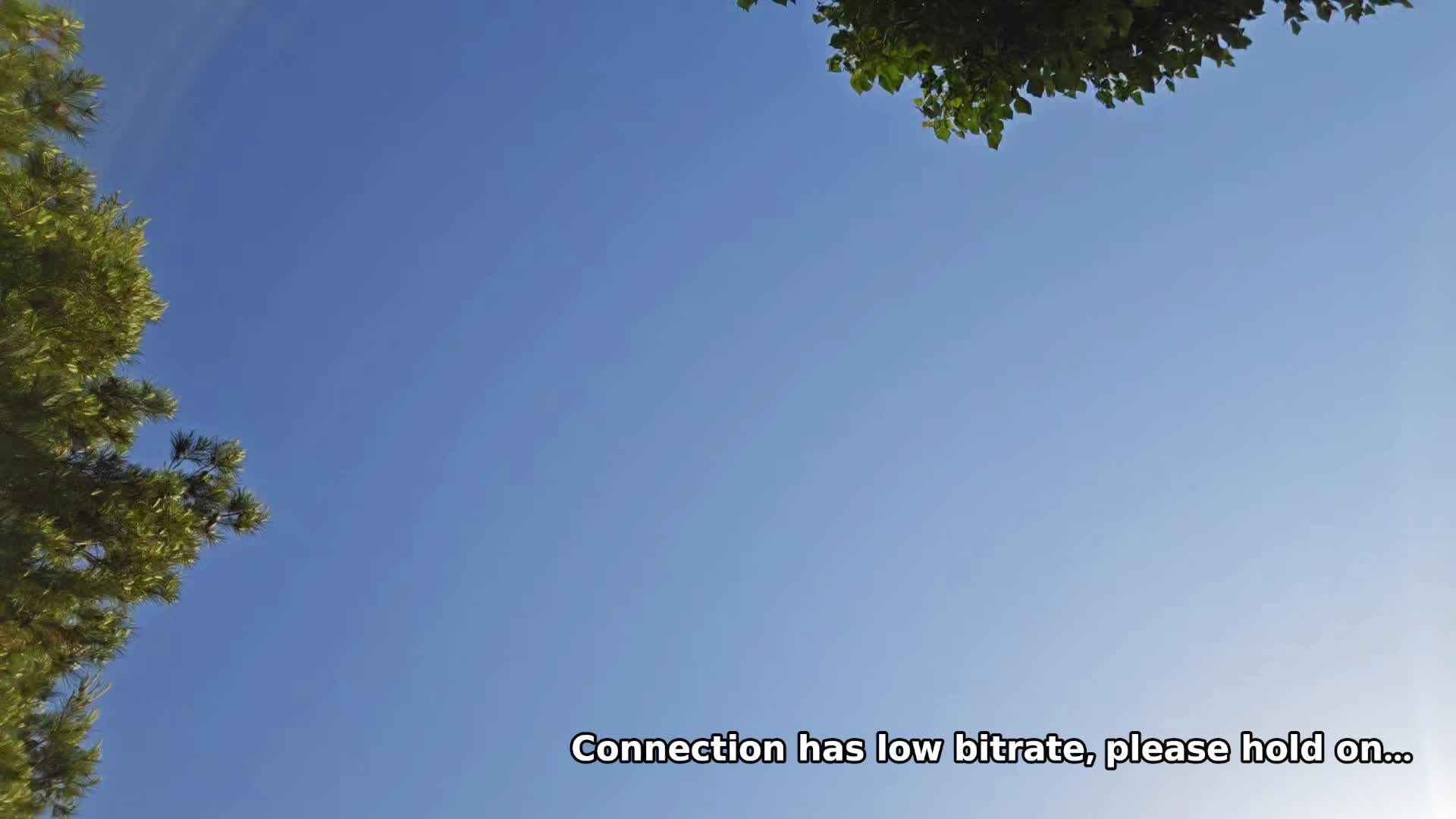 KickBot: Customizable Chat Bot for Kick