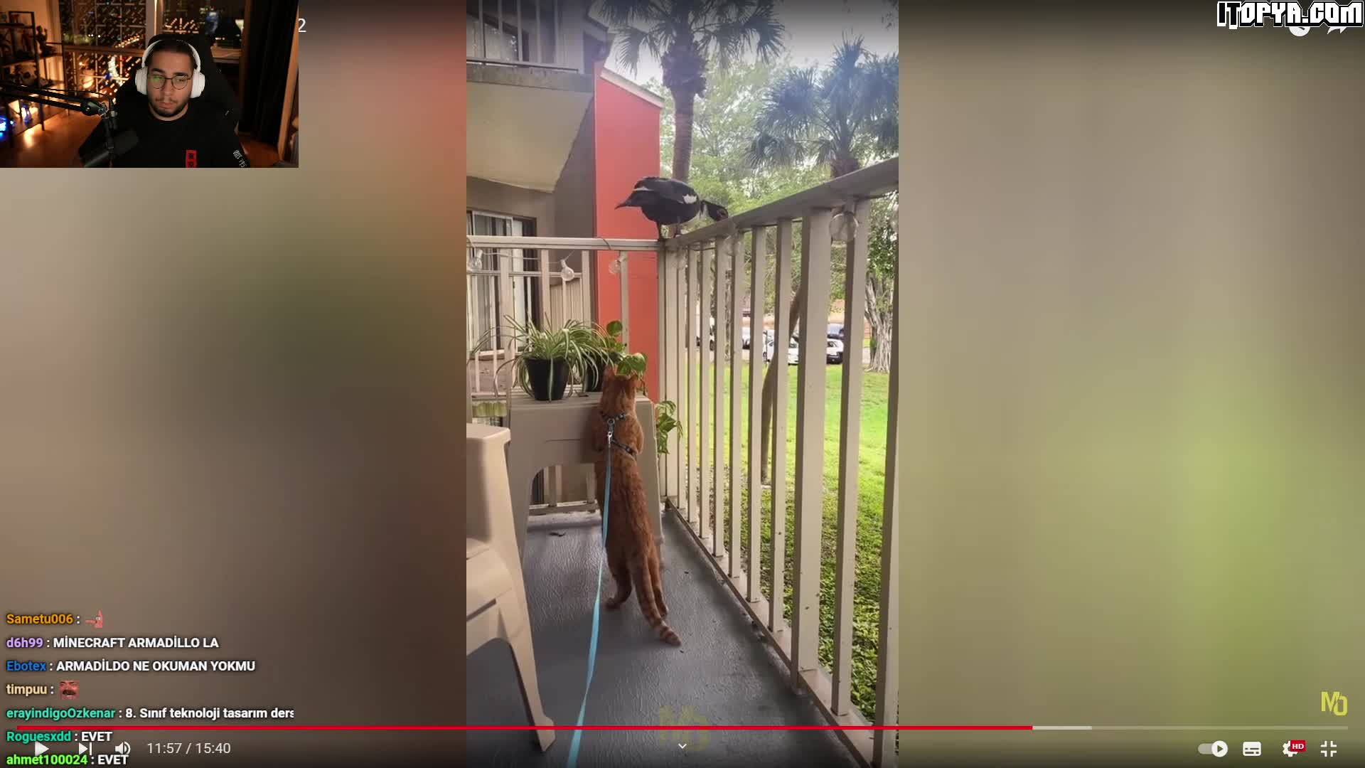 KickBot: Customizable Chat Bot for Kick